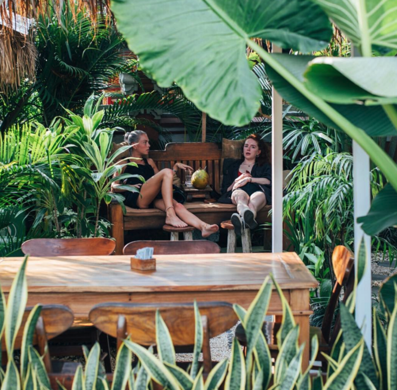The Shady Shack, Canggu - The Bali Guideline